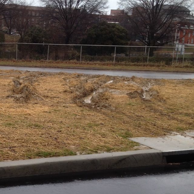 Issues With Grayland | Oregon Hill