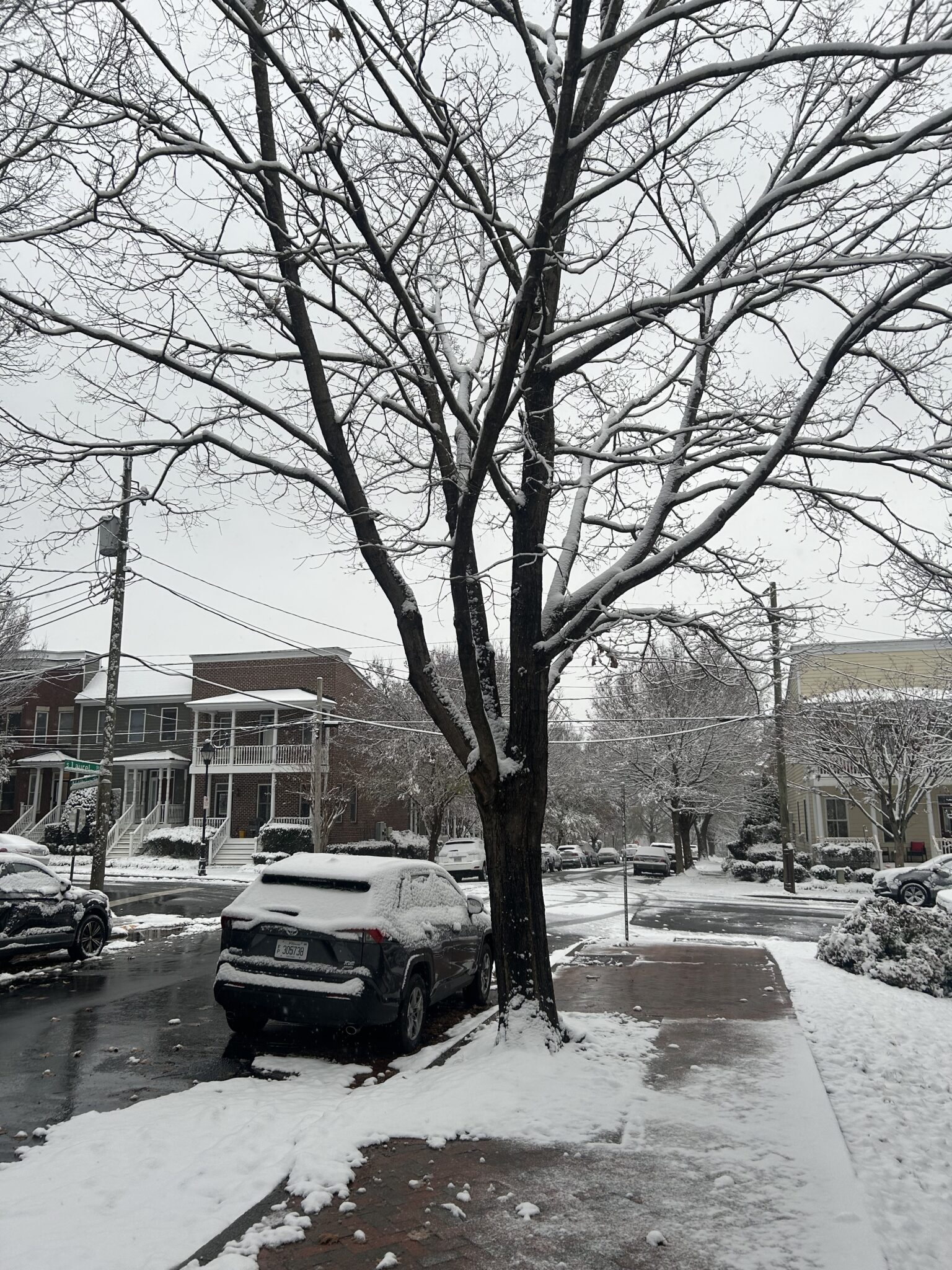 First Snow | Oregon Hill